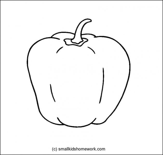 Cabbage | SmallKidsHomework